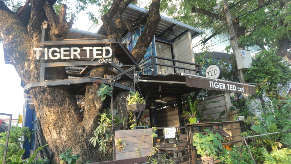 まるで森の中に迷い込んだ気分？ニマンヘミンで自然を感じながら仕事が出来る【TIGER TED Cafe】 | TABI CAFE